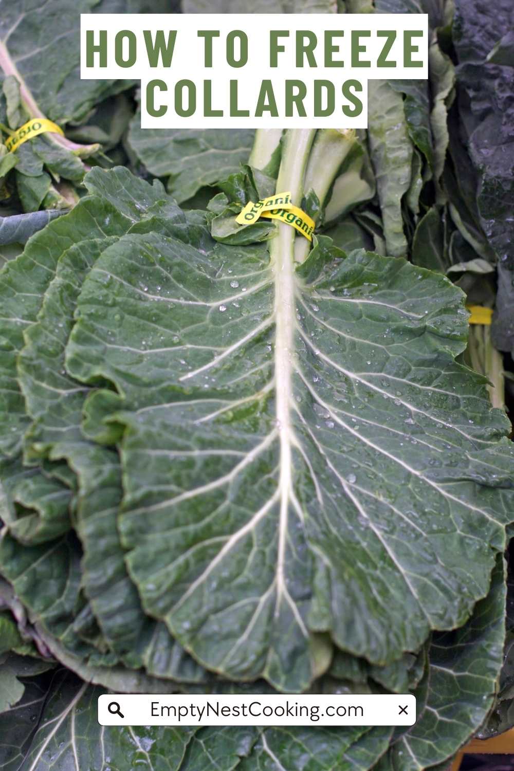 How to Freeze Collard Greens - Empty Nest Cooking